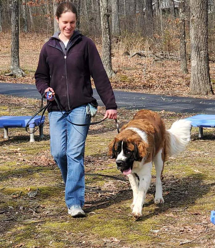 St. Louis Dog Trainers